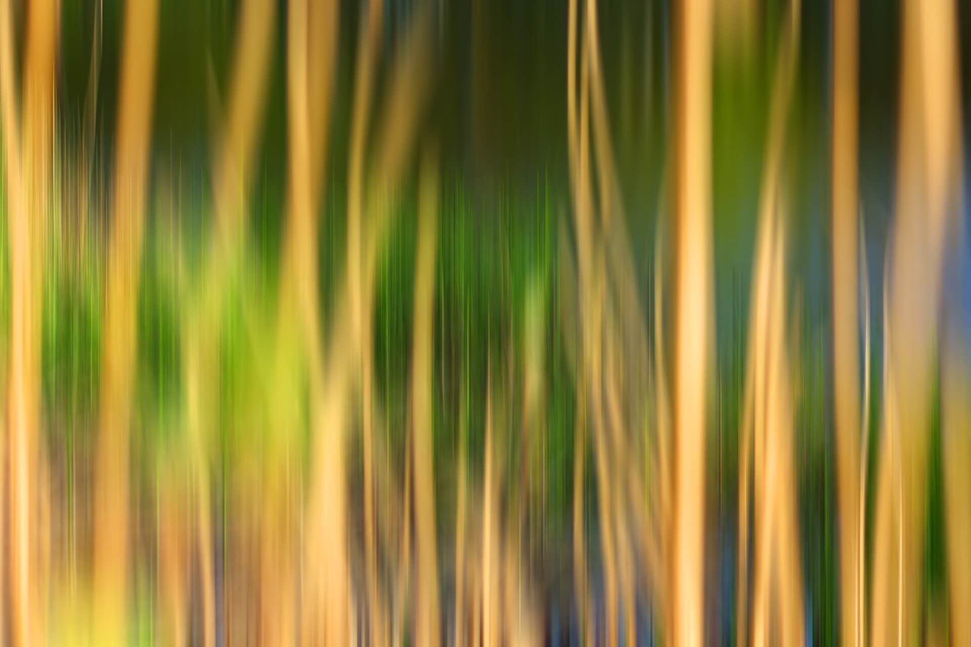 How To Restore Desktop Background on Mac – Interior Design, Design News ...